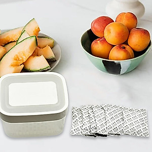 6 Pack Carbon Filter Refills Compatible with OXO Good Grips GreenSaver Produce Keeper (6)