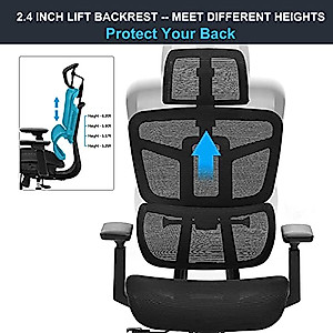 SAMOFU Ergonomic Office Chair, Backrest Height Adjustable Desk Chair,Big and Large Mesh Chair with Adjustable Lumbar Support/Armrest, High Back Computer Chair Executive Chair with Tilt & Lock Function