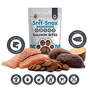 Snif-Snax™ Human Grade Dog Treats - All-Natural Smoked Salmon & Sweet Potato Bites, 4oz