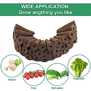 101pcs Seed Pod Kit, Grow Anything Kit Hydroponic Seed Kit Hydroponics Garden Accessories with 20 Grow Baskets, 20 Transparent Insulation Lids, 40 Grow Sponges, 20 Plant Labels