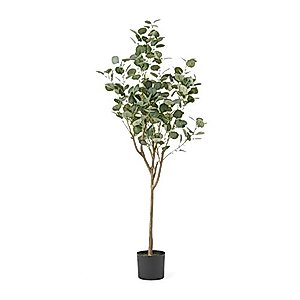 Christopher Knight Home Artificial Plants, 5 ft x 2 ft, Green + Black