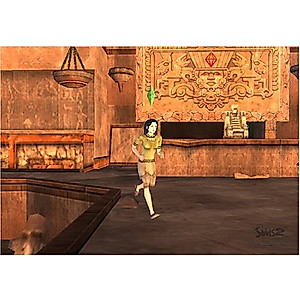 The Sims 2: Castaway - Nintendo Wii (Renewed)