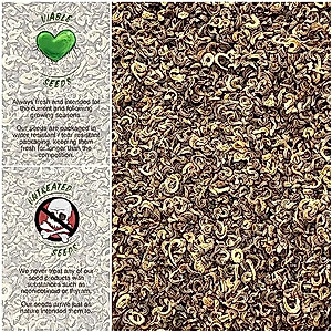 Seed Needs, 1000+ Calendula Pink Surprise Seeds (Calendula officinalis) Non-GMO Wildflowers - Butterfly and Bee Attracting! - Bulk