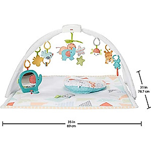 Fisher-Price Safari Music & Lights Gym Tummy Time Playmat with Take-Along Toys for Newborns from Birth and Older
