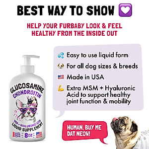 Allergy Relief Chews for Dogs & Immune & Digestive Supplement 120 Soft Chews and Liquid Glucosamine for Dogs Bacon Flavour with Chondroitin, MSM & Hyaluronic Acid 8 oz