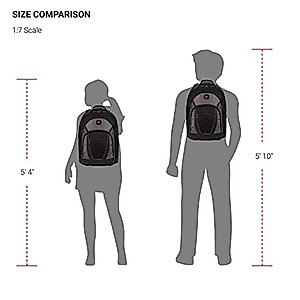 Wenger Luggage Synergy 18-Inch, Black/Grey, 16