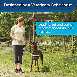 PetSafe EWH-C-HC-S-DNT Easy Walk Chic Harness, Small, Donuts