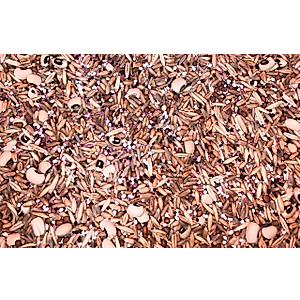 No-Till Cover Crop 10 Seed Mix - Winter Rye, White Clover, Austrian Winter Peas, Triticale, Crimson Clover, Cow Peas, Daikon Radish, Purple Turnips, Wheat, Oats, (25 Pounds)