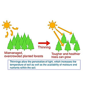 WOO Japanese Cypress Hang-up,Japanese Eco-Friendly Product-100% Natural Cypress Block for Storing Clothes, Aromatic Cypress Ball Hanger, Storage Accessory Closet & drawe(Made in Japan)(Wood-5)