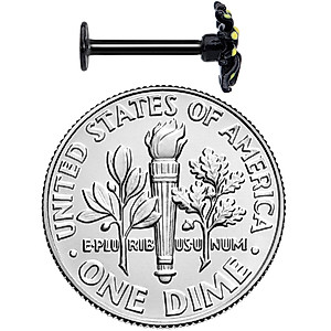 Body Candy Womens 16G Black Electroplated Steel Black Yellow Spider Labret Monroe Lip Ring Tragus 5/16”