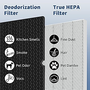 4 Pack 116130 True HEPA Replacement Filter H for Winix 5500-2, 5300-2, C535, 5300, 6300, 6300-2, P300, AM80, AM90, C909 and 9800 Air Purifier by PETOX