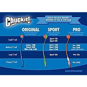 Chuckit! Medium Rebounce Ball 2.5", 2 Pack, Blues & Purples (20320)