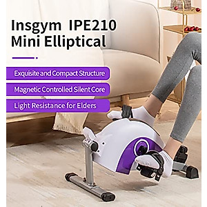 INSGYM Sitting Mini Exercise Bike - Recumbent Exercise Bikes for Home Steppers Exercise for Seniors While Sitting Under Desk Bike Exercise Equipment Hands Bike Pedal Exerciser IPE210 (Purple/White)