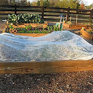 Kasbon Plant Covers Freeze Protection & Plant Blanket Fabric 8Ft x 26Ft Rectangle Plant Cover for Winter Frost Protection & Plant Growth Season(Includes 6pcs Garden Stakes)