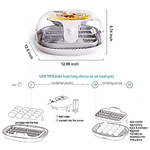 Lreerge Egg Incubator, 12 Eggs Incubator with Automatic Egg Turning, Automatic Water Adding, 360 Degree View, for Hatching Chicken Goose Quail Duck