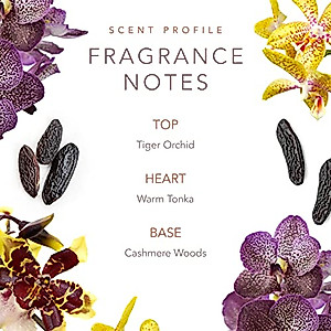 SCENT BEAUTY by Dolly Parton - Eau de Toilette - Smoky Mountain