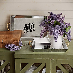 Barnyard Designs Decorative Farmhouse Rectangular Metal Trays, Serving Trays for Coffee Table, Rustic Ottoman Decor, Set of 2, Silver, (Small: 14x10.5; Large: 17x12)