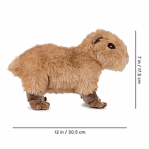 Wildlife Tree 12 Inch Standing Stuffed Capybara Plush Animal Kingdom Collection