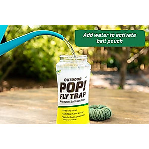 RESCUE! POP! Fly Trap – Large Reusable Fly Trap for Outdoor Use - 3 Pack