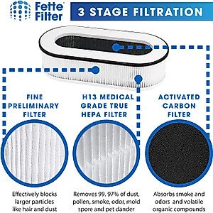 Fette Filter - RP-AP068 Replacement Filter, Compatible with RENPHO Air Purifier RP-AP068 RP-AP068W RP-AP068B RP-AP068-F2 Filter, 3-in-1 H13 Grade True HEPA Filters - Pack of 2