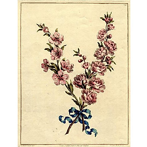 Double blossom Peach & Almond blossom