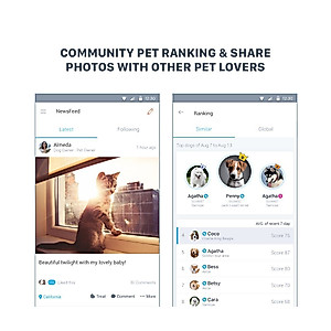 Poof Pea Pet Activity Tracker, Black