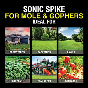 The Giant Destroyer Sonic Spike Mole & Gopher Repeller - Solar Powered Ultrasonic Animal Repellent Spikes - Repels Rodents from Lawn, Garden, & Home (1 Pack)