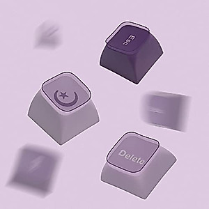 AHHC PBT Japanese Keycaps - Ocean Custom , 123 Keys XVX Profile Keycaps Full Set, for Cherry Gateron MX Switches Mechanical Keyboard (Purple)
