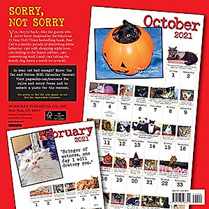 Bad Cat Wall Calendar 2021