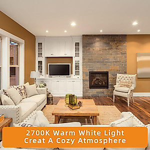 PAR20 Halogen Buld, 120V 39W Dimmable PAR20 Reflector Flood Light Bulds with E26 Base, for Range Hood Light Bulbs, Track Light Bulbs, Oven Light Bulb, Ceiling Can Lamp, 2 Pack