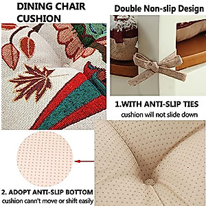 Outdoor Chair Cushions Set of 2, Art Animals Patio Furniture Cushions, Chair Pads for Dining Chairs, Seat Cushions for Kitchen Chairs for Home Kitchen Sofa Living Room Decor (Bad Cat)