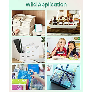 Vixic Label Maker D1600, Small Handheld Bluetooth Label Maker Machine with Tape, Portable Rechargeable Printer for Business Home Office, Multiple Templates Compatible iOS Android, Green Labeler