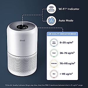LEVOIT Air Purifiers for Home Bedroom H13 True HEPA Filter for Large Room, Sleep, Quiet Cleaner for Dust, Allergies, Pets, Smoke, White Noise, Smart WiFi, Auto Mode, 300S