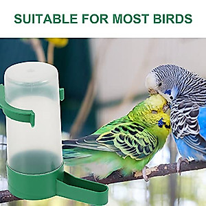 Totority Bird Water Dispenser, 10pcs Bird Drink Feeder Dispenser Bottle Drinking Cup Bowls Pigeon Self Drinker Pet Birds Cage Hanging Birds Supplies