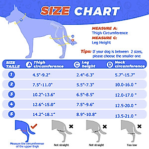 Dog Knee Brace for Torn ACL Hind Legs, Anti-slip Dog Leg Braces for Back Legs with Comfort Vest, Strong Support Dog ACL Hip Brace with 2 Metal Strips and Adjustable Belt for Cruciate Ligament Injury