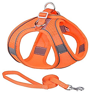 Soft Mesh Dog Harness and Leash Set for Walking Summer Step in Vest Harness Reflective Bands Adjustable No Pull Pet Supplies for Small Dogs and House Cats Belly Bands for Dogs with Snaps (Orange, XS)