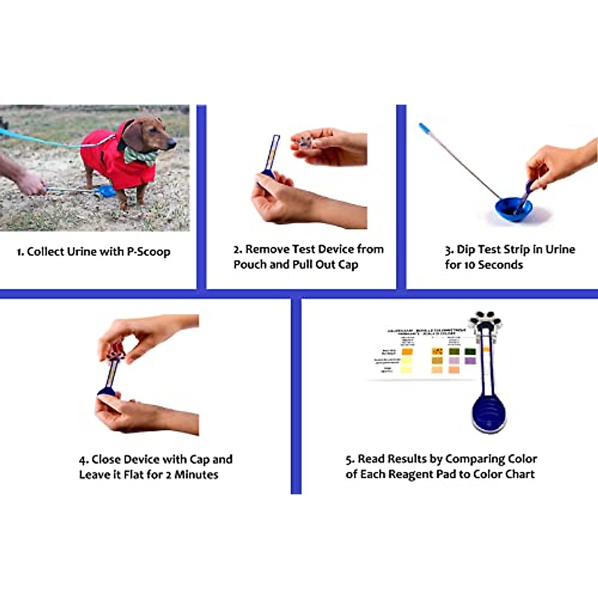 PawCheck UTI Test Kit for Dogs with Reusable P-Scoop Telescopic Urine Collector