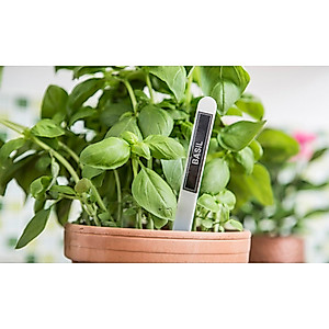 Brother P-Touch Cube Smartphone Label Maker, Bluetooth Wireless Technology, Multiple Templates Available for Apple & Android Compatible – White