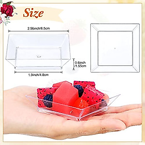 Gandeer 200 Pieces Mini Square Dessert Plates 2.5 x 2.5 Inch Disposable Appetizer Plates Small Clear Plastic Plates for Dessert Salad Appetizer Sauces Tastings Cake Wedding Party Serving