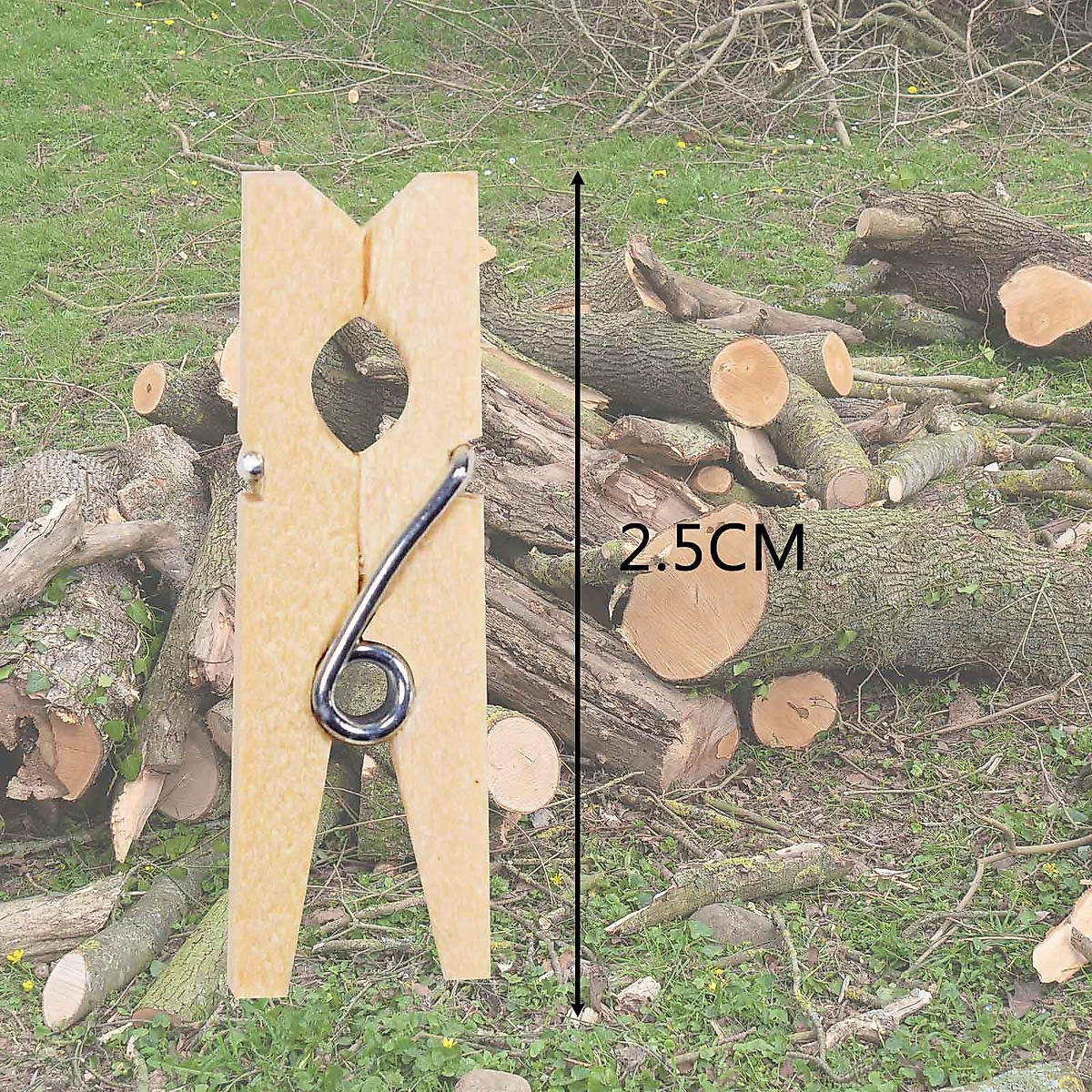 FOONEA Sturdy Mini Clothes Pins for Photo, 100 Pcs 1 Inch Natural Wooden Clothespins with 33 FT Jute Twine, Small Clips for Crafts Display, Baby Shower Game, Hanging Decorative Pictures