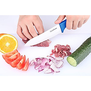 Ceramic Knife 5Inch Fruit Knife Set 4-Piece with Knife Sheaths for Cheese, tomatoes, potatoes, vegetables, fruits (blue)