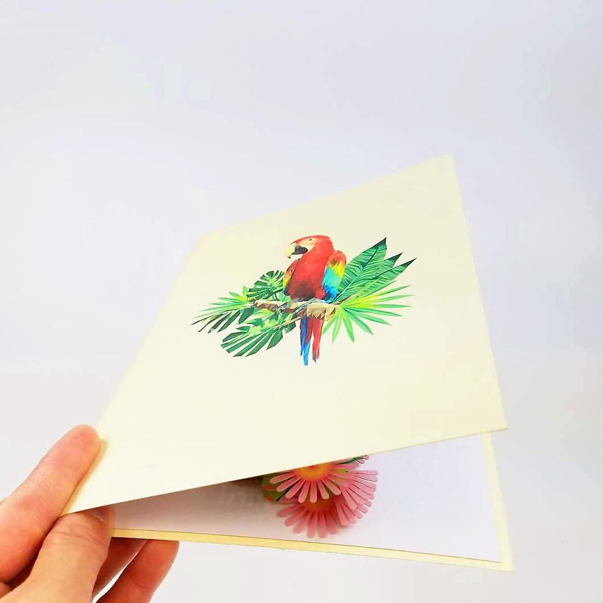 POP CARD EXPRESS Colorful Parrot Pop Up Birthday Card - Happy Birthday Pop Up Card for son, daughter, wife, friends, Nature, Wild Animal, Bird lovers (Colorful Parrot Pop Up Card)