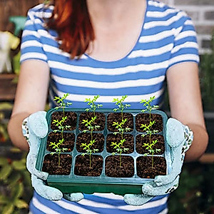 Cookmaster Seed Starter Tray, 6 Pack Seed Starter Kits with Grow Light, Seedling Trays with Humidity Domes, Indoor Gardening Plant Germination Trays, Covers Height 3.9", (12 Cells per Tray)