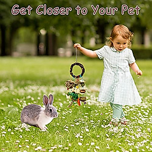 BNOSDM 2 PCS Rabbit Chew Toys for Bunnies Cage Hanging Guinea Pig Chewing Toys Rattan Ring with Snacks Natural Small Animals Teeth Grinding Toy for Hamster Chinchilla Ferret Hedgehog