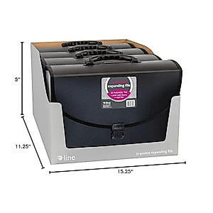 C-Line 21-Pocket Poly Expanding File with Handle, Includes Tabs, Locking Closure, Legal Size, Black (58320), Traditional
