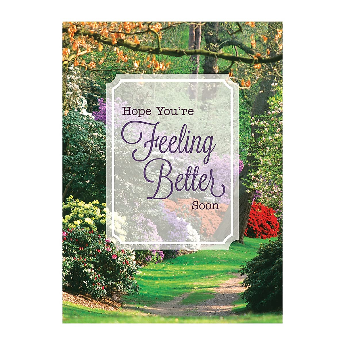 Paper Craft IG98641-RE Religious Get Well Soon Card Set with Envelopes, 12 Cards, 4.75'' W x 6.5'' H, Floral and Landscape Photography