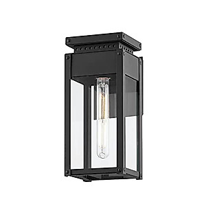 Troy Lighting B8513-TBK Braydan - 1 Light Outdoor Wall Sconce-13 Inches Tall and 6 Inches Wide