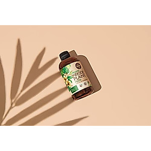 Organic Indoor Plant Food - All-Purpose Liquid Fertilizer - Best for Live Houseplants Indoors + Common Home Outdoor Plants in Pots (8 oz)