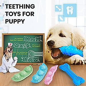 SHARLOVY Dog Chew Toys for Puppies Teething, Puppy Toys 16 Pack Dog Toys for Aggressive Chewers Puppy Chew Toys Peas Rubber Bone Dog Toy Bundle Small Dog Squeaky Toys for Small Dogs