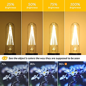 Dimmable E26 T10 LED Bulb Long Tube Light Bulb,Type T Tubular Light Bulbs for Curio Cabinet,Piano Light,Chandelier ,Wall Sconces,4W(40W Equivalent) AC120V Warm White 2700K 400LM CRI 90,Pack of 2